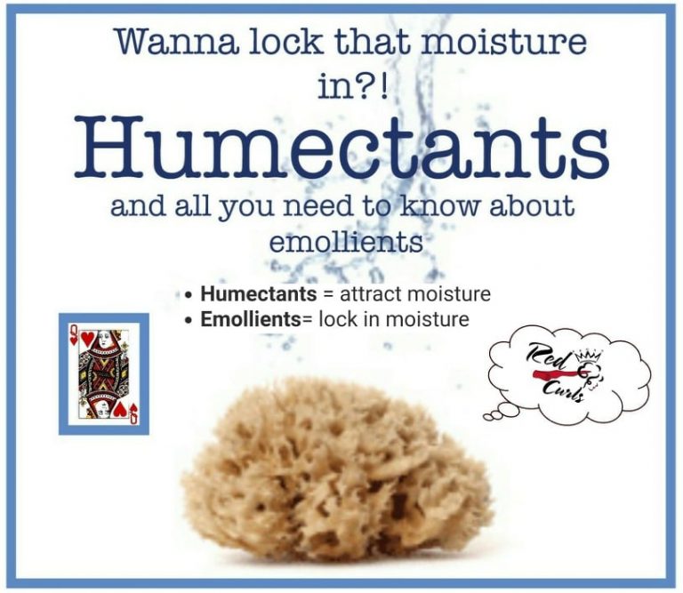 Humectants 101 – Red Carpet Curls