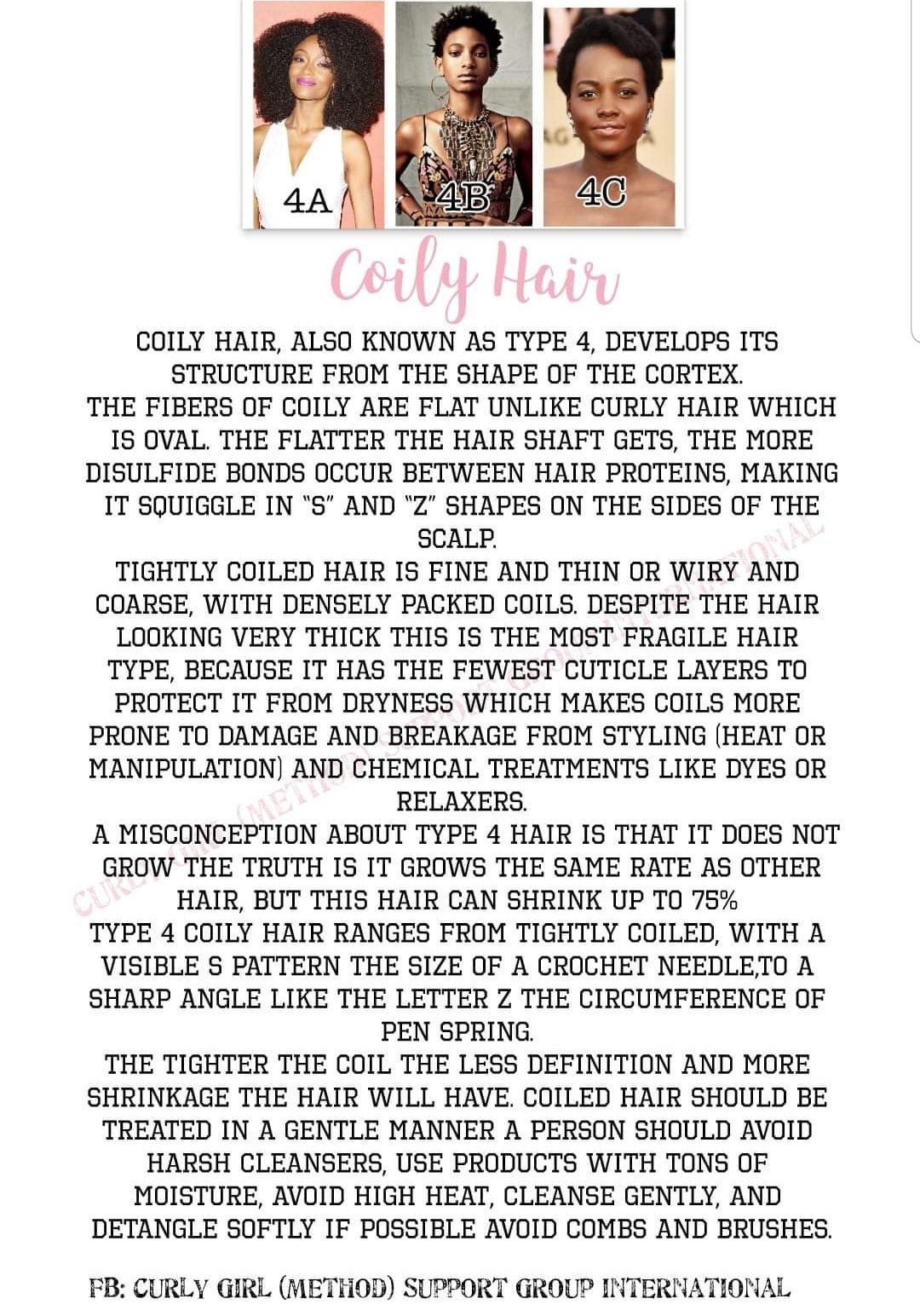 How to Determine Your Curl Type – Red Carpet Curls