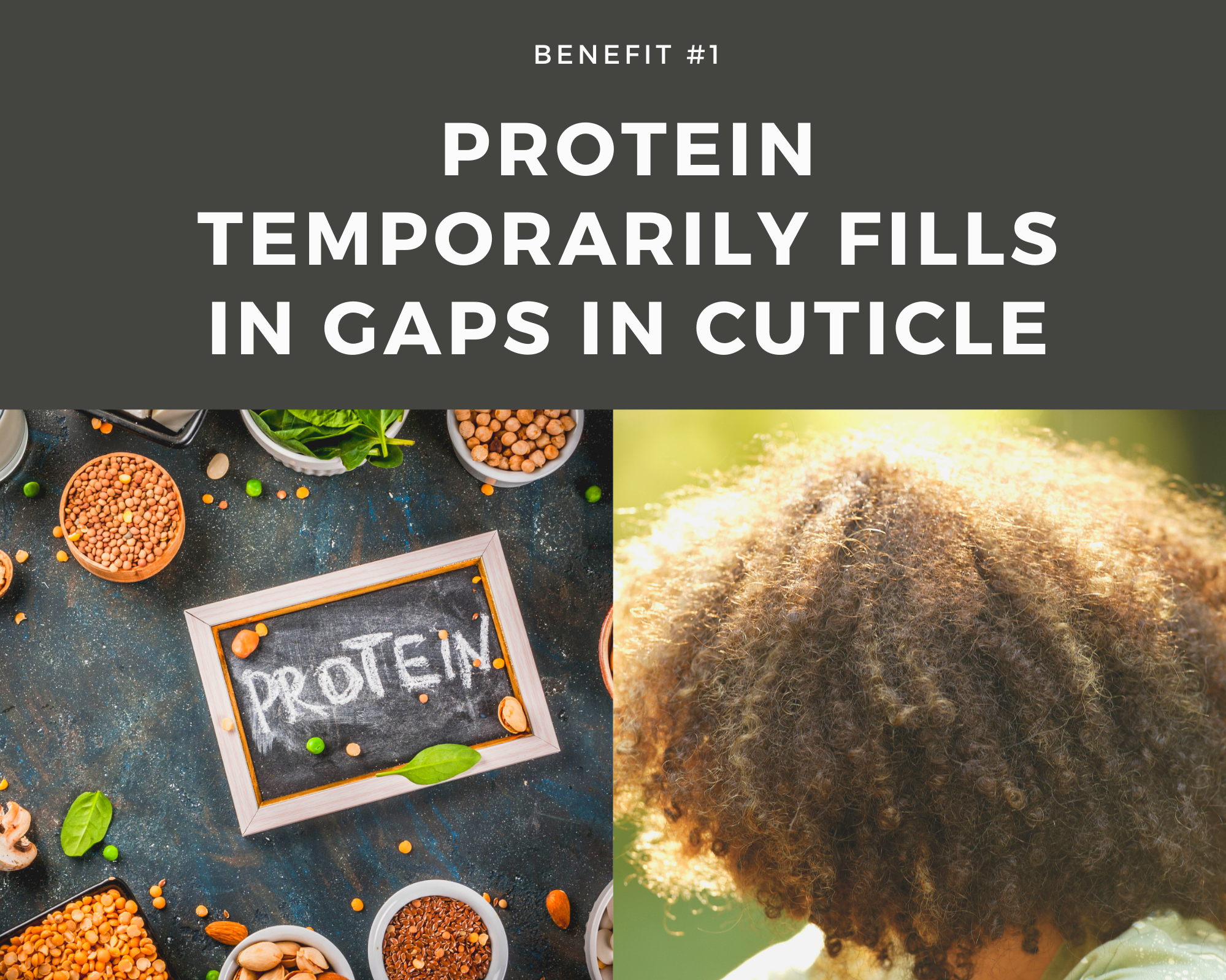 5 Benefits to Adding Protein to Your Hair Care Regime – Red Carpet Curls