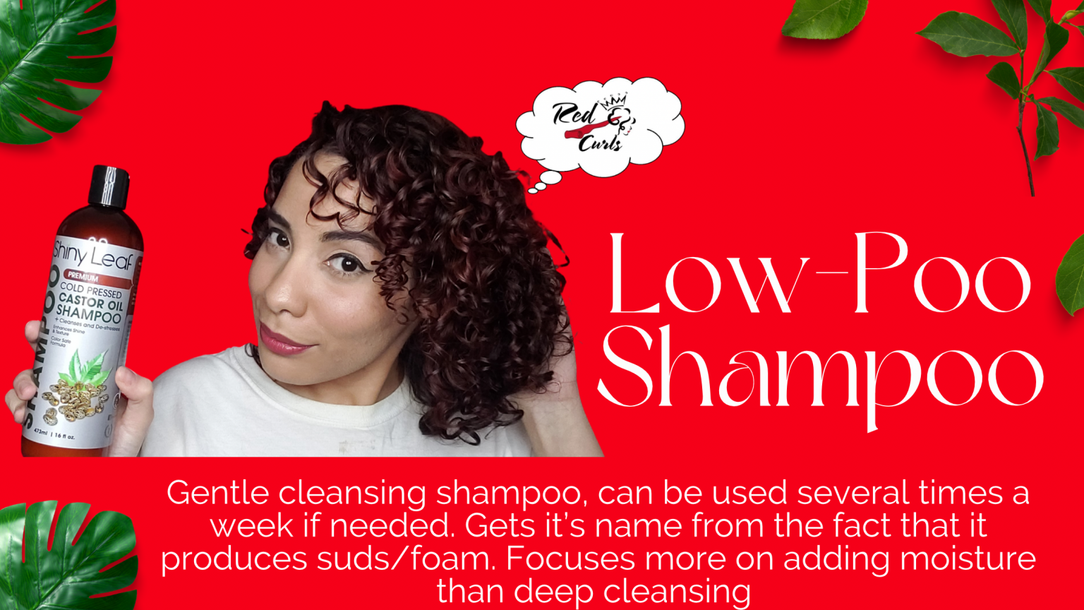 The Ultimate Guide to Curly Girl Method Shampoo – Red Carpet Curls