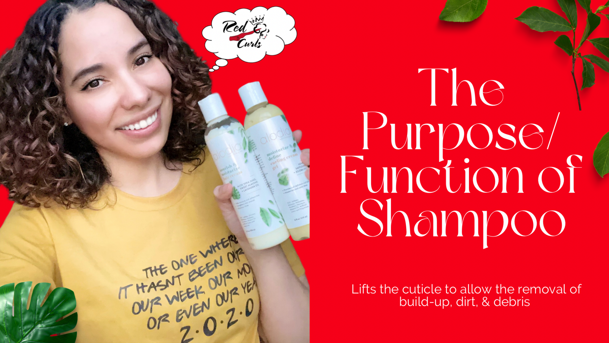The Ultimate Guide to Curly Girl Method Shampoo – Red Carpet Curls